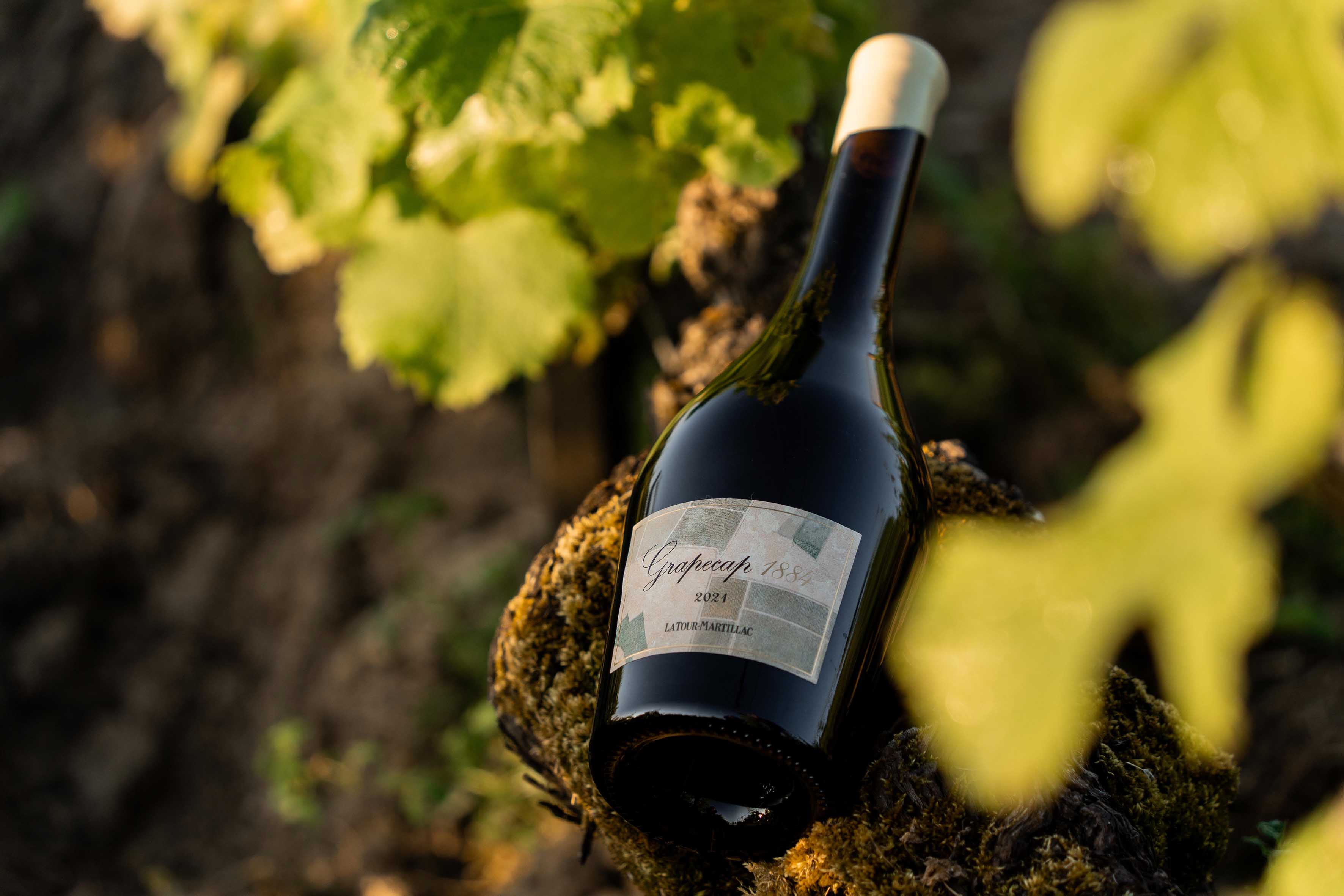 Grapecap 1884, a unique and rare, authentic white wine - Château Latour ...